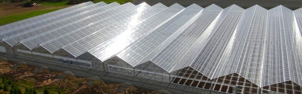 Greenhouse Plastic & Agricultural Plastic Solutions - PXD